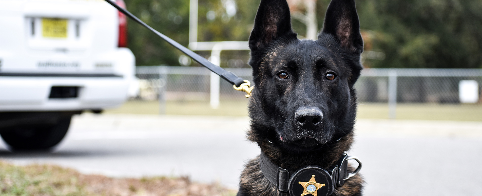 Florida Sheriffs Association Home Page